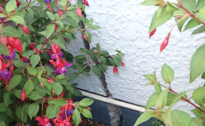 Work We Have Done - Cephas Rock, Christchurch, Canterbury