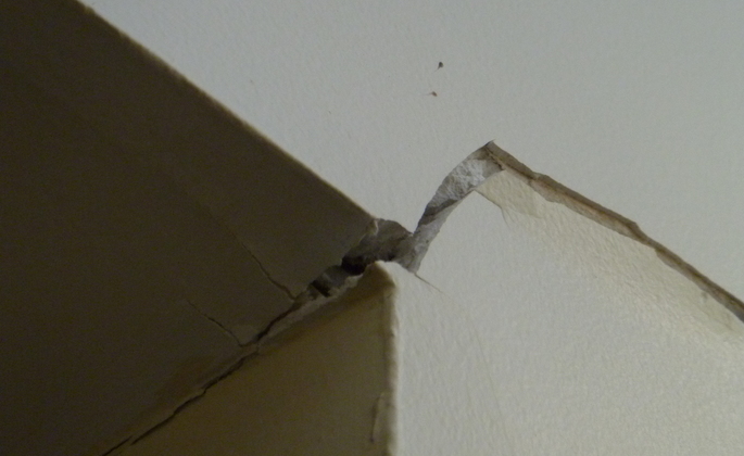 Work We Have Done - Cephas Rock, Christchurch, Canterbury